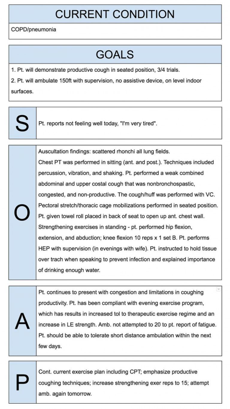 Sample Physical Therapist Soap Notes Example Soap Note Notes Ot 