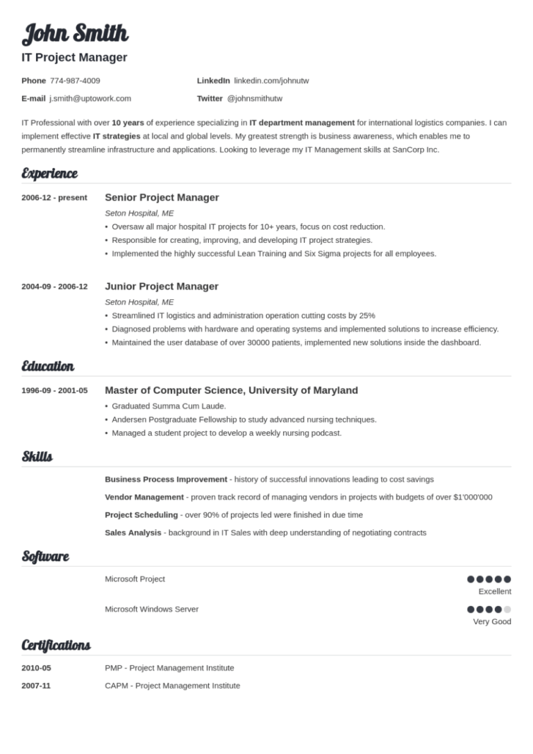 Professional CV Template for Job